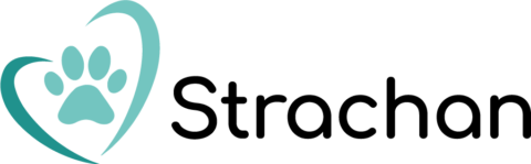 Strachan Vets - Veterinary Practice in Heaton and Tynemouth